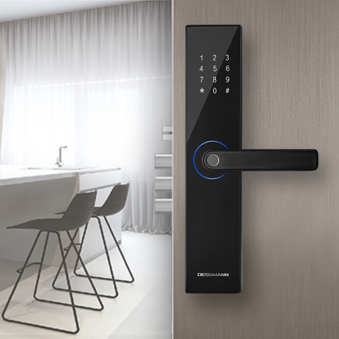 Top 3 mẫu khóa vân tay Dessmann mẫu mới nhất 2023